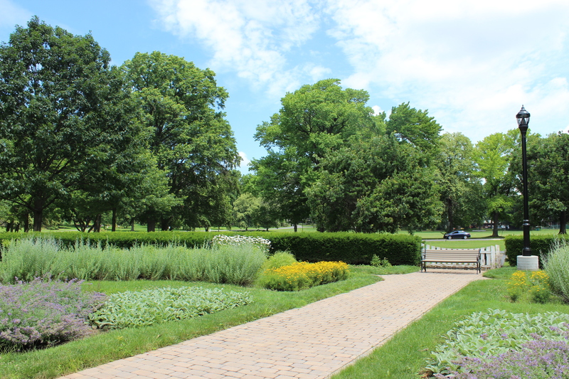 Features + Picnic Areas - Warinanco Sports Center